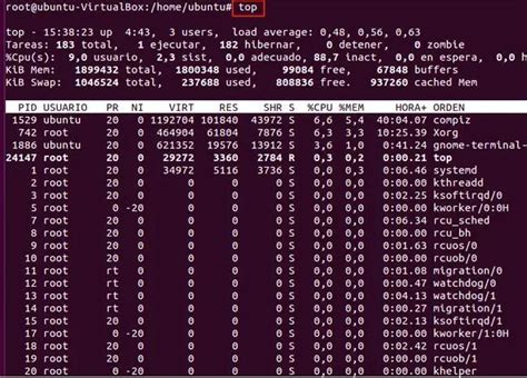 Comandos Básicos Para Trabajar Con Procesos Linux El Taller Del Bit