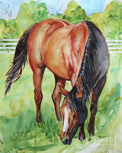 Horse Grazing Painting By Maria Reichert Fine Art America