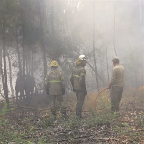 Incendios En La Patagonia Se Registran Focos En Epuyén El Bolsón Y