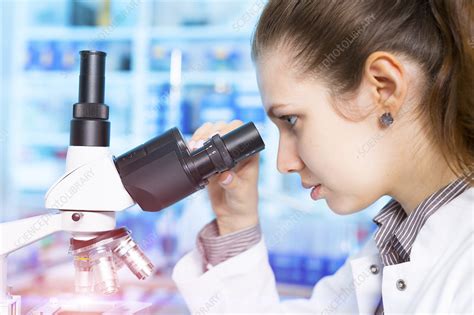Lab Assistant Using Microscope Stock Image F011 4382 Science