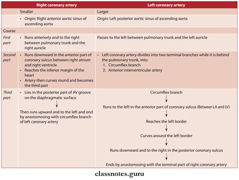 Pericardium Anatomy Class Notes