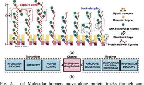 Figure 2 From Novel Interleaved Code For High Throughput Parallel Dna Based Molecular