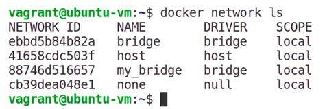 Docker Networking 101 User Defined Bridge Network