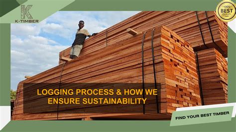 Logging Process And How We Ensure Sustainability K Timber