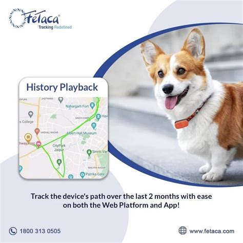 Pet Tracker At ₹ 2500piece Pet Tracking Device In Pune Id