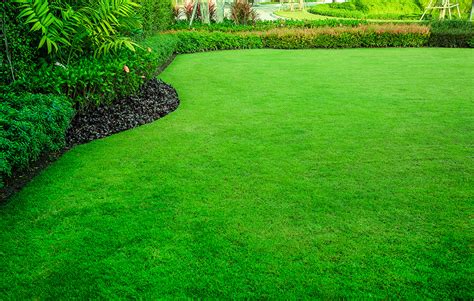 Hydroseed Application North Hills Recycling