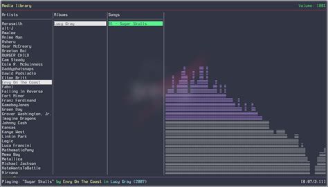 Can You Identify This Tui Music Player Rcommandline