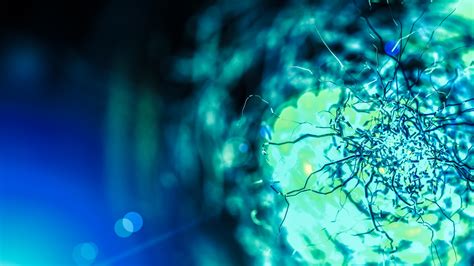 Soluciones De Microscopia De Fluorescencia Bruker