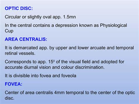 Anatomy Of Retina Ppt