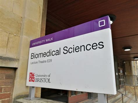 Breaking Boundaries The Stem Vs Humanities Divide