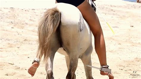 🌶️ Riding Women 2016 2025 Best Of Compilation 75min Ridingvision