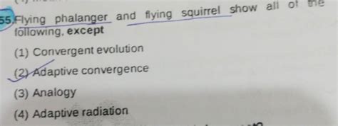 55 Flying Phalanger And Flying Squirrel Show All Of The Following Excep