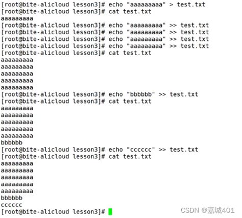 Linux的常见指令 Csdn博客