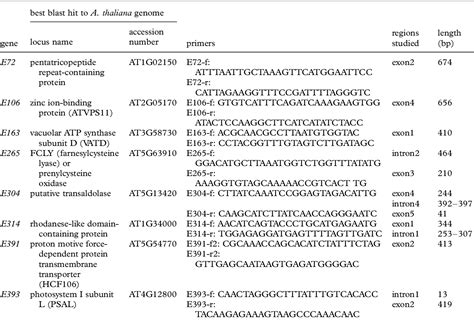 Table 1 From Nucleotide Diversity In Silene Latifolia Autosomal And Sex