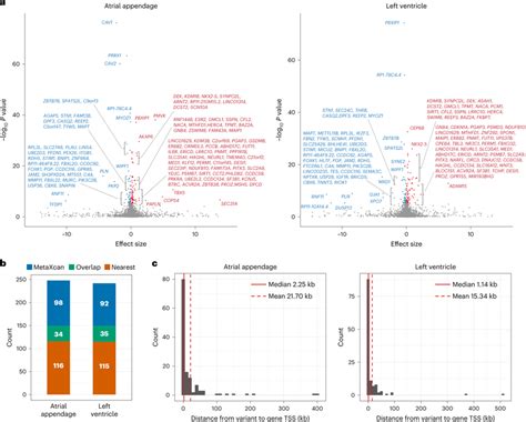 Transcriptome Wide Association Analysis A Volcano Plot Showing Download Scientific Diagram
