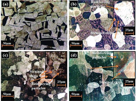 Microstructures Of Cast A Cu B A1 C A2 And D A4 Download