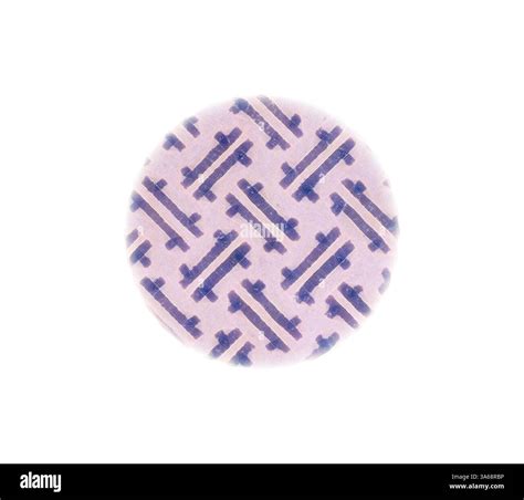 A Circular Object Featuring A Repetitive Pattern Of Stylized Bones In