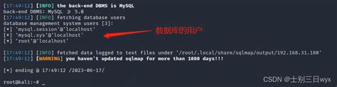 sqlmap使用教程图文教程（非常详细）从零基础入门到精通，看完这一篇就够了。 csdn博客