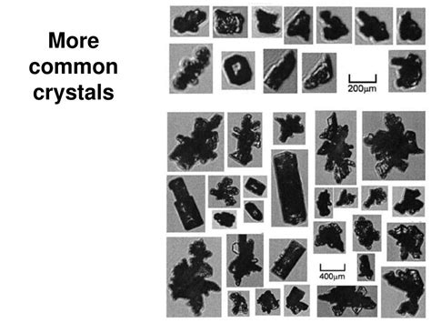 Ppt Observational Approaches To Understanding Cloud Microphysics Powerpoint Presentation Id