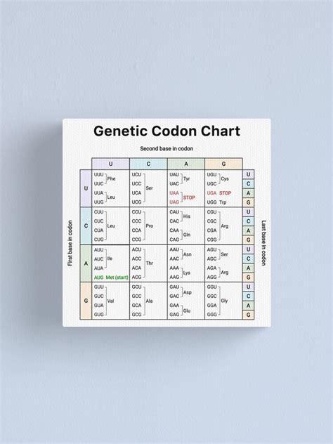 Genetic Codon Chart Canvas Print For Sale By Labstud Redbubble