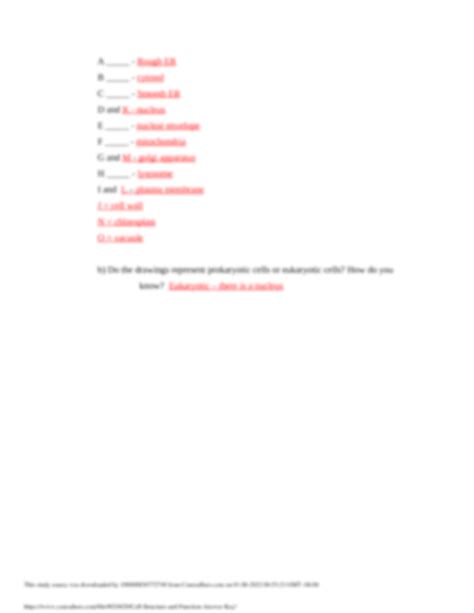 Solution Cell Structure And Function Answer Key Studypool