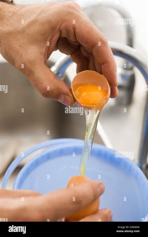 Separating Egg White And Yolk Stock Photo Alamy