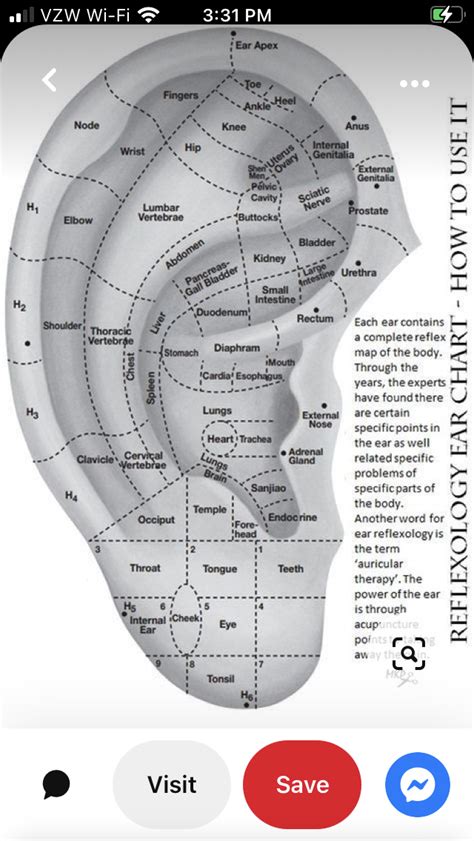Topography And Indications Of Auricular Acupuncture Points According To Regions Artofit