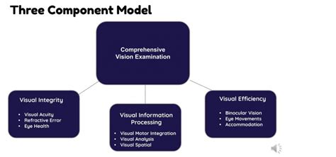 Uncovering Hidden Vision Deficits In The Classroom Miss Jaime Ot