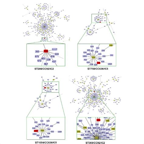 Eburst Diagrams For Oxford Mlst Schemes Of A Baumannii Strains With