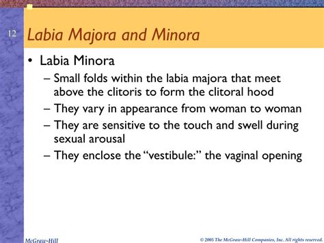 Labia Minora Lets Talk Honestly