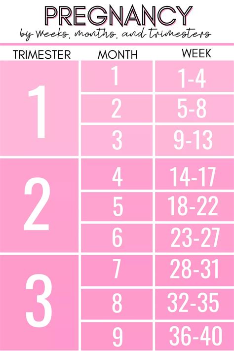 Week By Week Pregnancy Guide Artofit
