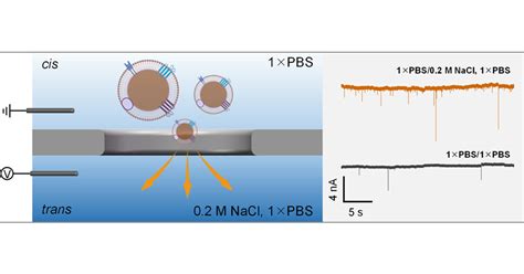 Highly Sensitive Detection Of Tumor Cell Derived Exosomes Using Solid State Nanopores Assisted