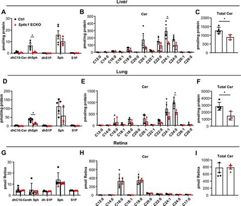 Murine Endothelial Serine Palmitoyltransferase 1 Sptlc1 Is Required