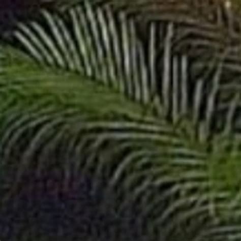 Sidade Perdida Youtube