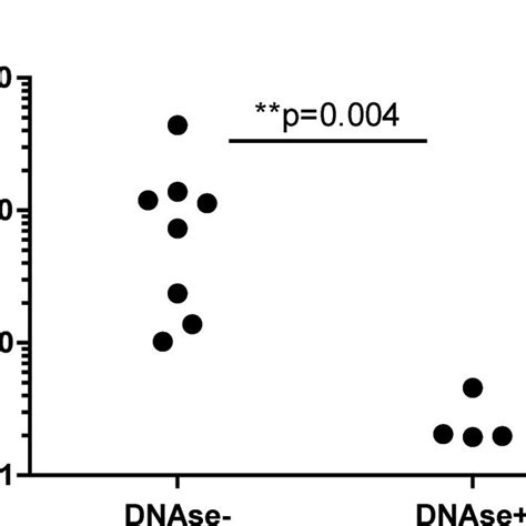 Schematic Drawing Of Dna Isolation Protocol Strategy 2 A Bacterial Download Scientific