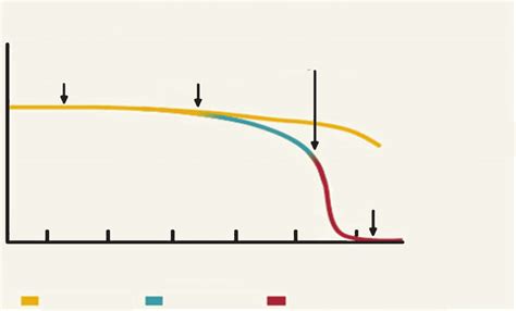 Figure Cognitive Trajectories Over A Lifetime And Ad Phases National