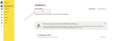 how to export your user lists from mailchimp zing medical