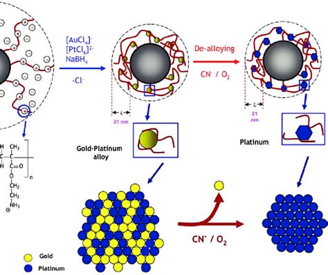 synthesis scheme of pt ncs by de alloying of a au pt nanoalloy the