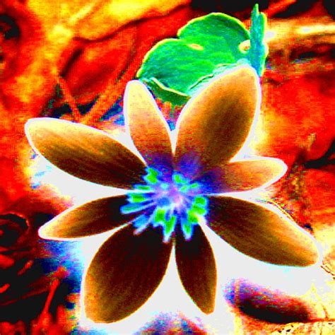 Aura Glow Photograph By Heidi Berkovitz Fine Art America