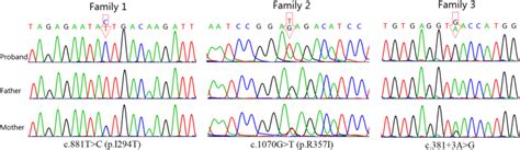 Two Missense Mutations And One Splicing Mutation In Three Families