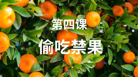 【主日学】 圣经故事 4주일학교 Youtube