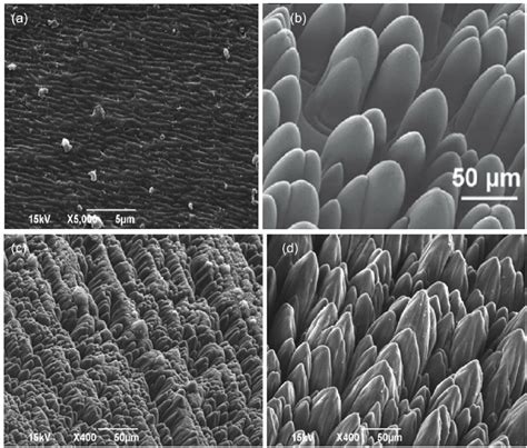 Sem Micrographs Of The Sample Irradiated With A Krf Laser With 7000