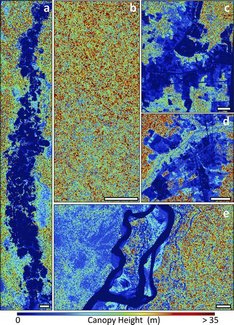 Sources Of Variation In Forest Canopy Height Detected With