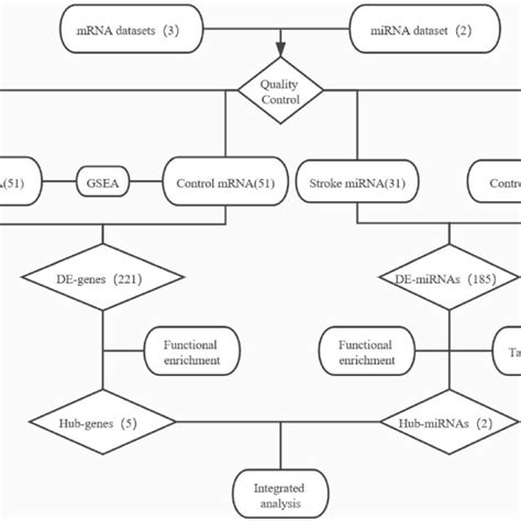Flowchart Illustrating The Bioinformatic Analysis Process Download Scientific Diagram