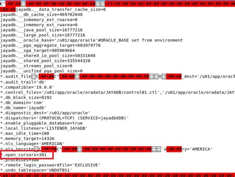 Oracle Default Scope In Alter Statement Dot Net Tutorials