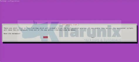 install openldap server on ubuntu 24 04