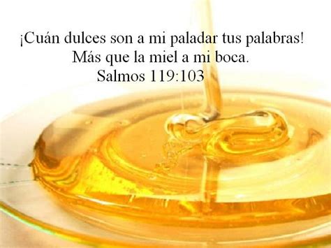 ¡vengo A Ti Señor La Palabra De Dios Es Dulce