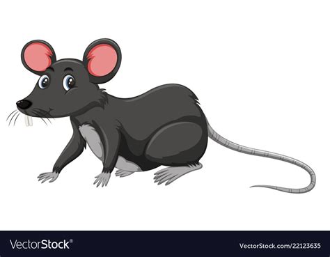 A Black Rat On White Background Royalty Free Vector Image