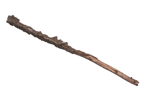 Premium Photo Single Dry Tree Branch Isolated On White Background