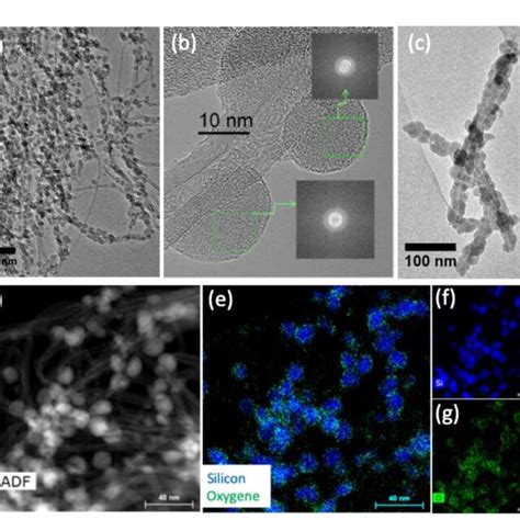 Stem Eels Pictures Of The Sic Materials A Silicon Signal B